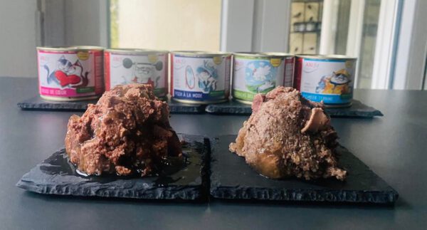 Anifit Katzenfutter Test 2026 - Wie gut ist es wirklich?