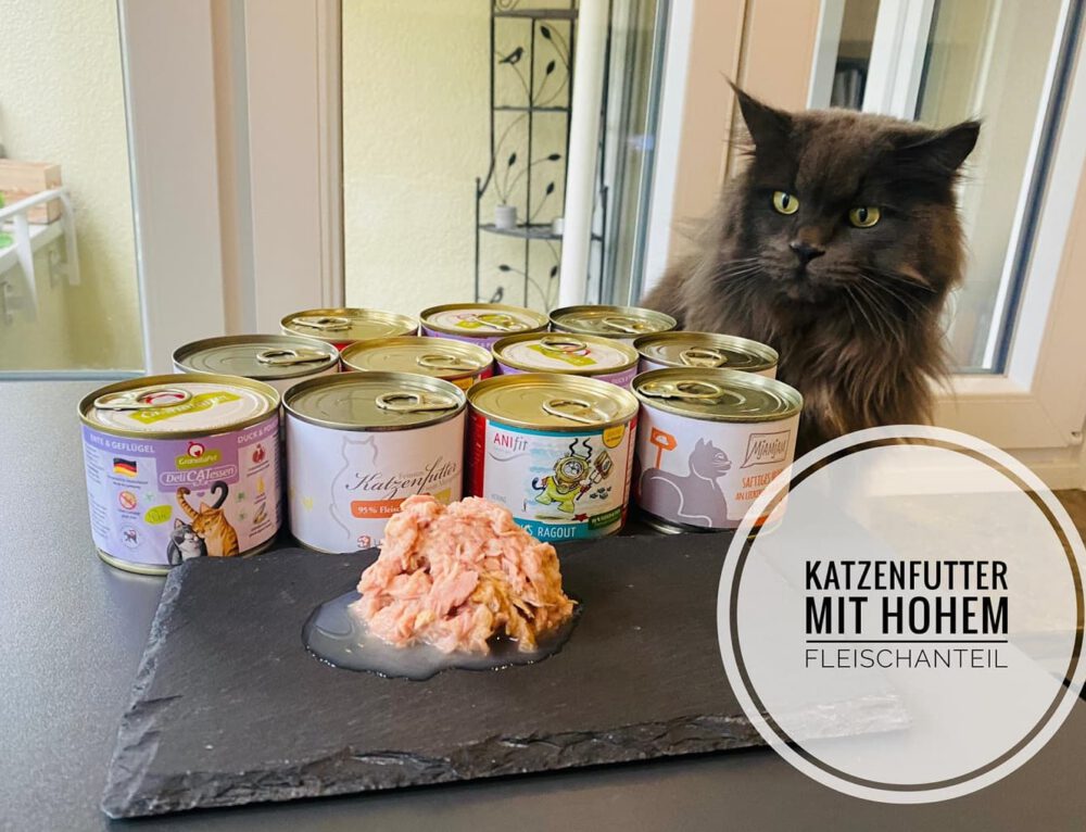 Katzenfutter mit hohem Fleischanteil: Test & Erfahrung 2025